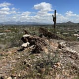 Dreamy Draw Loop Trail, Arizona - 1,119 Reviews, Map | AllTrails