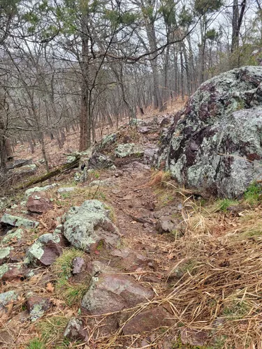 Best Hikes and Trails in Taum Sauk Mountain State Park | AllTrails