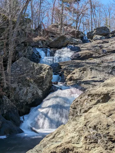 Best Walking Trails in Cunningham Falls State Park | AllTrails
