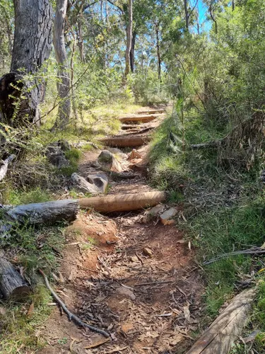 Best Hard Trails in Bungonia | AllTrails
