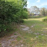 Shadow Bay Park Loop, Florida - 198 Reviews, Map | AllTrails