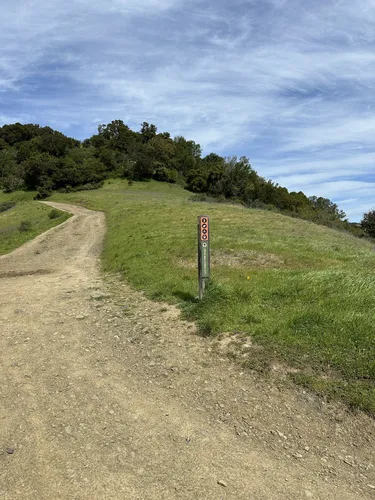 Best Forest Trails in Lucas Valley Open Space | AllTrails