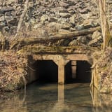 River to River Trail, Illinois - 218 Reviews, Map | AllTrails