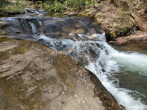 Best Walking Trails in Chestatee Wildlife Management Area | AllTrails