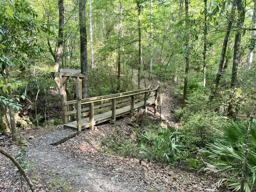 Best Trail Running Trails in Jennings State Forest | AllTrails