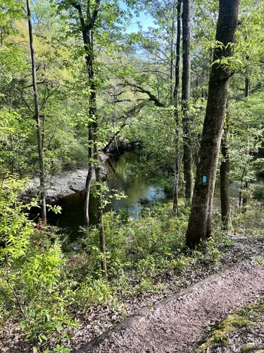 Best Trail Running Trails in Jennings State Forest | AllTrails