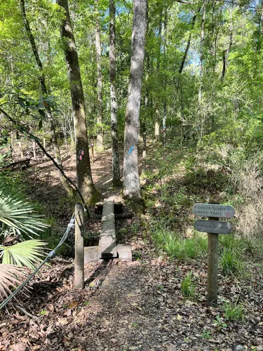 Best Trail Running Trails in Jennings State Forest | AllTrails