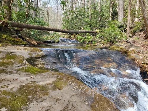 Best Walking Trails in Chestatee Wildlife Management Area | AllTrails
