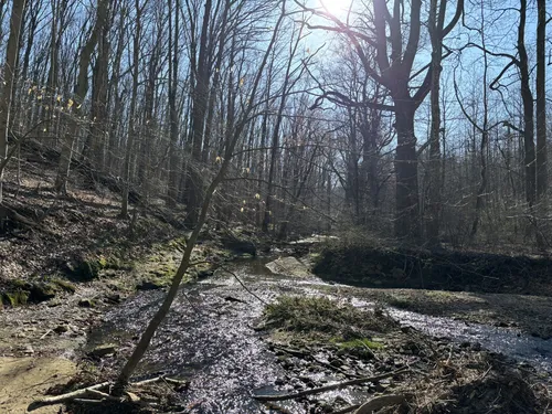 Best Hikes and Trails in Middle Run Valley Park | AllTrails