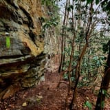 Pine Mountain State Scenic Trail: Highland Section, Kentucky - 51 ...
