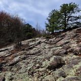 Pine Mountain State Scenic Trail: Highland Section, Kentucky - 51 ...