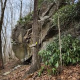 Pine Mountain State Scenic Trail: Highland Section, Kentucky - 51 ...