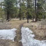 Fall River Loop, Oregon - 524 Reviews, Map | AllTrails