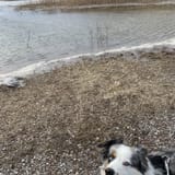 Edgecliff Loop, New York - 327 Reviews, Map | AllTrails