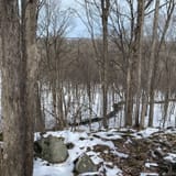 Edgecliff Loop, New York - 260 Reviews, Map | AllTrails