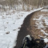 Edgecliff Loop, New York - 260 Reviews, Map | AllTrails