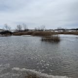 Edgecliff Loop, New York - 327 Reviews, Map | AllTrails