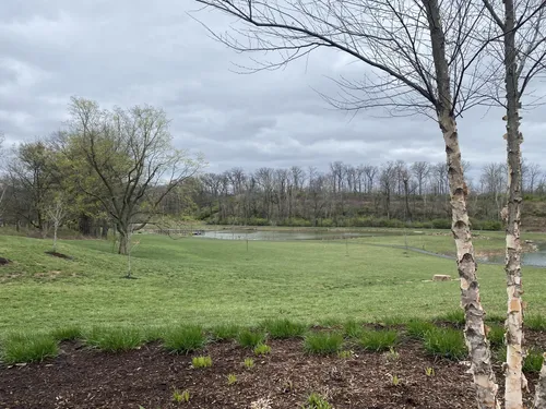 Best Hikes and Trails in Cottleville | AllTrails