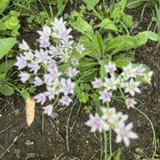 San Gabriel River Trail and Goodwater Loop, Texas - 917 Reviews, Map ...