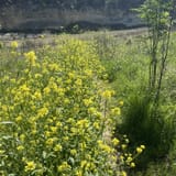 San Gabriel River Trail and Goodwater Loop, Texas - 917 Reviews, Map ...