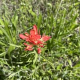 San Gabriel River Trail and Goodwater Loop, Texas - 917 Reviews, Map ...