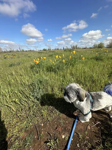 Best Hikes and Trails in Mather Regional Park | AllTrails