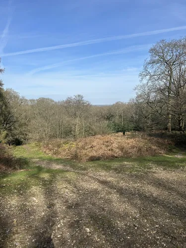 Best Hikes and Trails in Danbury Country Park | AllTrails