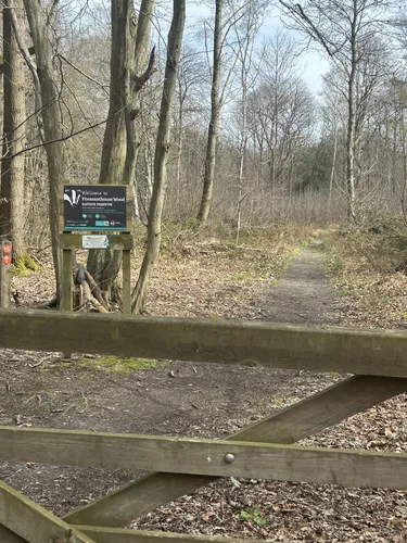 Best Hikes and Trails in Danbury Country Park | AllTrails