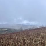 Max Patch Loop, North Carolina - 2,171 Reviews, Map | AllTrails