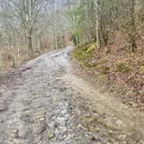 Max Patch Loop, North Carolina - 2,171 Reviews, Map | AllTrails