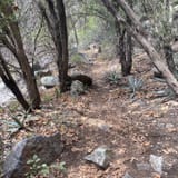 Haunted Canyon Trail to Toney Ranch, Arizona - 394 Reviews, Map | AllTrails
