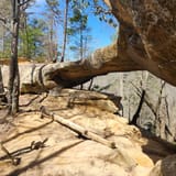 Princess Arch Trail, Kentucky - 1,239 Reviews, Map | AllTrails