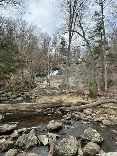 Best Walking Trails in Cunningham Falls State Park | AllTrails