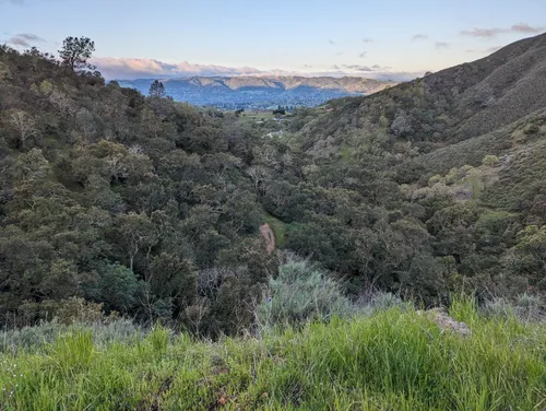 Best Camping Trails in Mount Diablo State Park | AllTrails