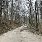 Max Patch Loop, North Carolina - 2,171 Reviews, Map | AllTrails