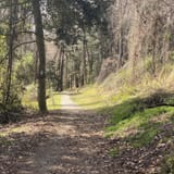 Point of Rocks Trail, Virginia - 442 Reviews, Map | AllTrails