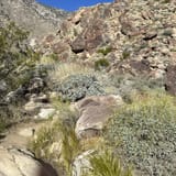 Cahuilla Canyon Trail, California - 636 Reviews, Map | AllTrails