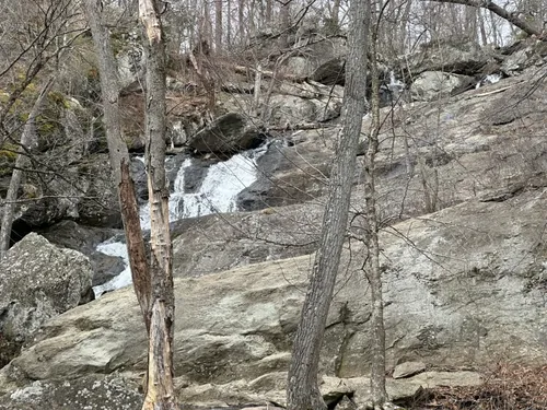 Best Walking Trails in Cunningham Falls State Park | AllTrails