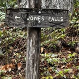 Jones Falls and Splash Dam Falls From Elk River Falls, Tennessee - 875 ...