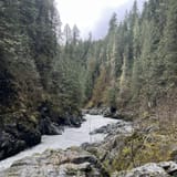 Robe Canyon Historic Trail, Washington - 952 Reviews, Map | AllTrails