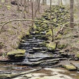 Fiery Gizzard Trail to Raven's Point, Tennessee - 1,149 Reviews, Map ...