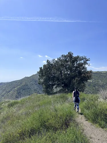 Best Hikes and Trails in Getty View Park | AllTrails