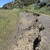 Getty View Trail, California - 907 Reviews, Map | AllTrails