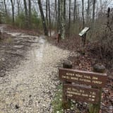 Auxier Ridge Trail to Courthouse Rock, Kentucky - 2,133 Reviews, Map ...