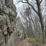 Carvin's Cove Hay Rock via Appalachian Trail, Virginia - 1,072 Reviews ...