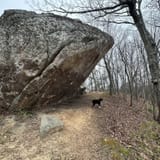 Carvin's Cove Hay Rock via Appalachian Trail, Virginia - 1,072 Reviews ...