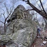 White Rocks Trail, Pennsylvania - 1,738 Reviews, Map | AllTrails