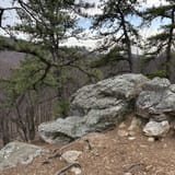 White Rocks Trail, Pennsylvania - 1,738 Reviews, Map | AllTrails