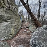 White Rocks Trail, Pennsylvania - 1,738 Reviews, Map | AllTrails