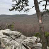 White Rocks Trail, Pennsylvania - 1,738 Reviews, Map | AllTrails